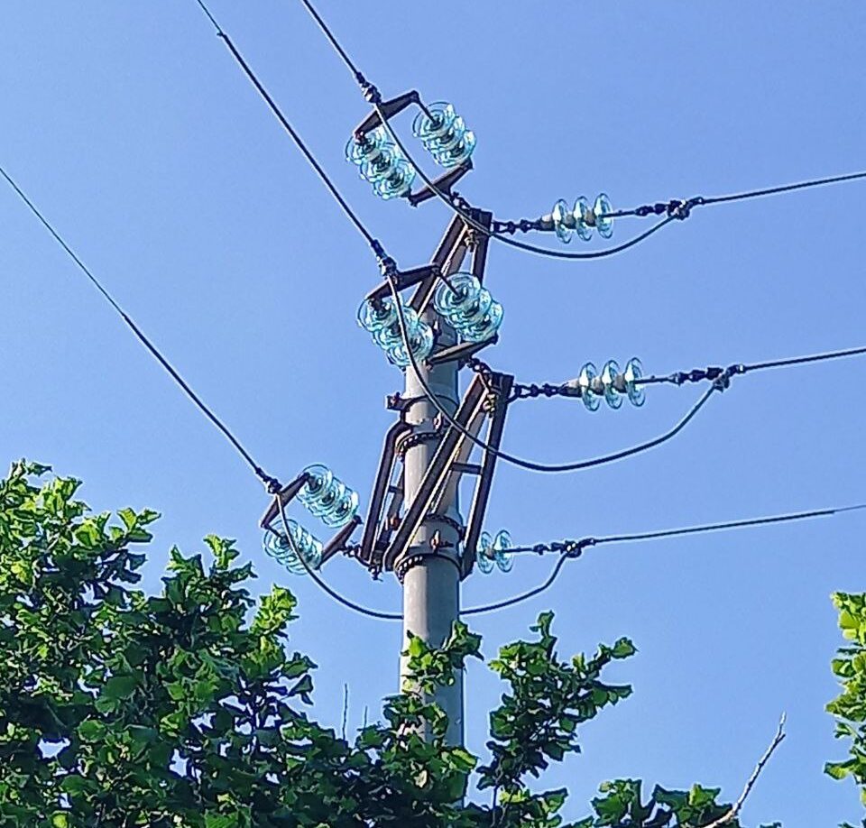 Raptor electrocution: unexpected progress in our fight against it ...