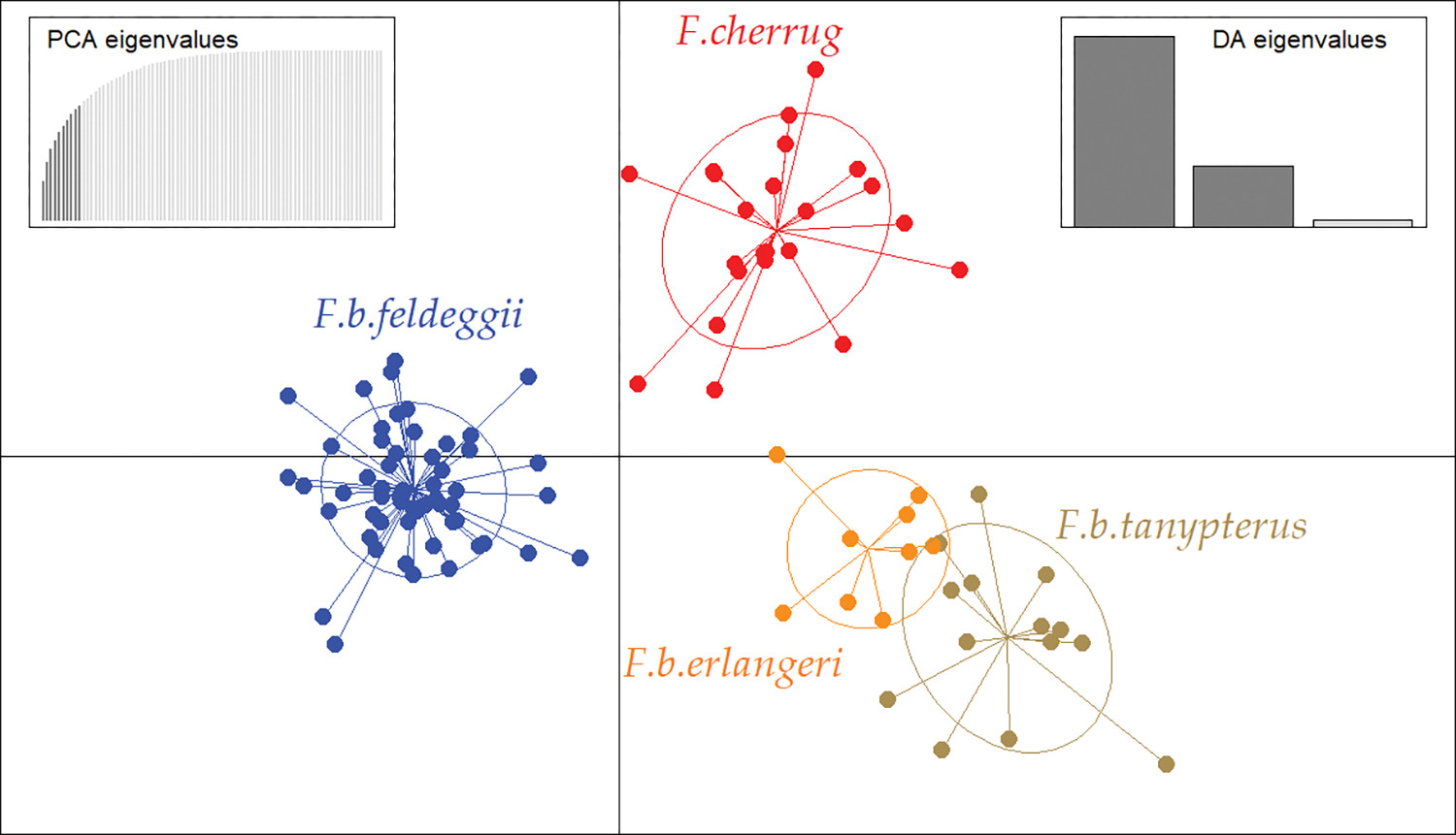 The genetic study of the LIFE LANNER project reveals the uniqueness of ...